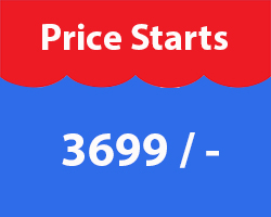 Static Website Design Price @ 3699/- in Kerala - Big Brain Creation